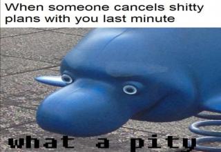 40 Dank Memes For Your Daily Fix - Funny Gallery | eBaum's World