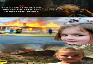 36 Dank Memes Salvaged From an Old Shipwreck - Funny Gallery | eBaum's ...