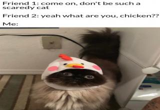 30 Dank Memes That Failed Their Drug Tests - Funny Gallery | eBaum's World