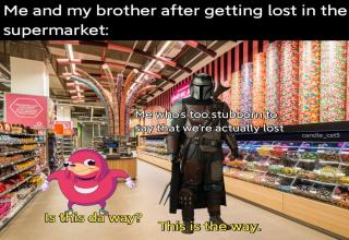 30 Dank Memes That Failed Their Drug Tests - Funny Gallery | eBaum's World