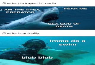 39 Dank Memes With Some Jank on 'Em - Funny Gallery | eBaum's World