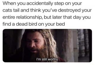 33 Dank Memes to Elevate the Third Eye - Funny Gallery | eBaum's World