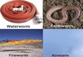 36 Memes That Are Seriously Dank, and Slightly Damp - Funny Gallery ...