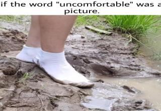 36 Memes That Are Seriously Dank, and Slightly Damp - Funny Gallery ...