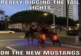 27 Dank Memes to Disengage From Daily Drudgery - Funny Gallery | eBaum ...