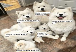 37 Dank Memes That Pulled Themselves Up by Their Bootstraps - Funny ...