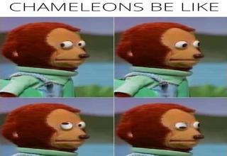 25 Funny Memes Fueling Our Dankness-Powered Mech Suit - Funny Gallery ...