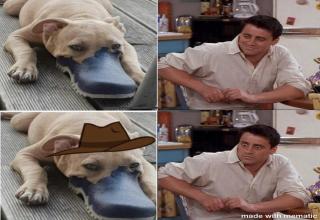 40 Funny Memes to Turn that Frown Upside Down - Funny Gallery | eBaum's ...