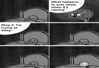 40 Funny Memes to Turn that Frown Upside Down - Funny Gallery | eBaum's ...