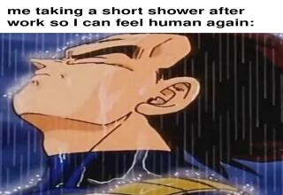 28 Memes and Pics That are Out on Bail - Funny Gallery | eBaum's World