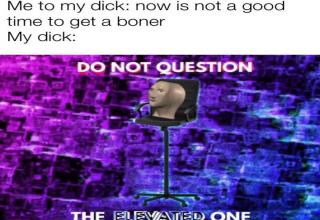 28 Memes and Pics That are Out on Bail - Funny Gallery | eBaum's World