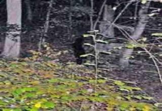 25 Frightening Shadow Figures - Creepy Gallery | eBaum's World