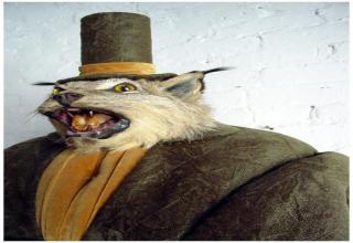 Poorly Stuffed Animals - Gallery | eBaum's World