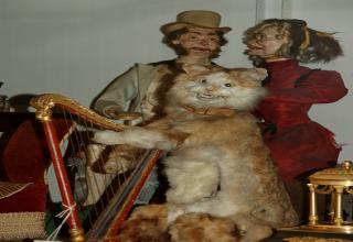 Poorly Stuffed Animals - Gallery | eBaum's World