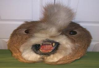 Poorly Stuffed Animals - Gallery | eBaum's World