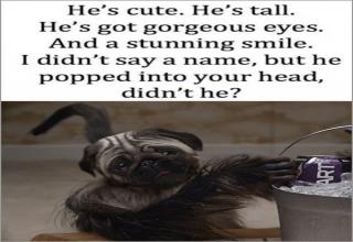 33 Funny Memes for Your Hump Day | eBaum's World
