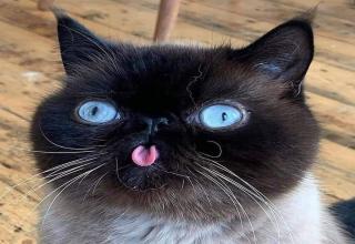 32 Gnarly Pics and Memes For Your Enjoyment - Funny Gallery | eBaum's World