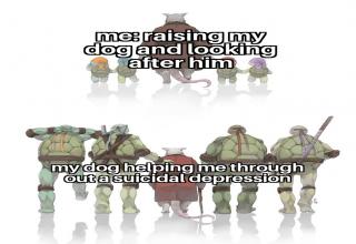 41 Refreshing Pics and Memes to Distract You - Funny Gallery | eBaum's ...