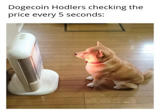 45 Choice Pics and Funny Memes to Begin Your Week - Funny Gallery ...