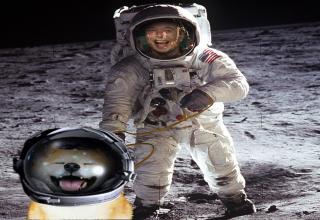 49 Funny Pics and Memes to Wet Your Whistle - Funny Gallery | eBaum's World