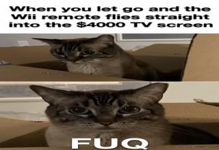 58 Funny Pics and Memes For a Leisurely Scroll - Funny Gallery | eBaum ...