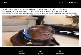 33 Fresh Memes To Make You Giggle - Funny Gallery | eBaum's World