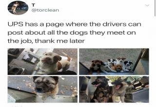 31 Hilarious Harsh Memes To Blast Off The Day - Funny Gallery | eBaum's ...