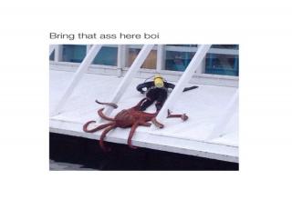 31 Hilarious Harsh Memes To Blast Off The Day - Funny Gallery | eBaum's ...