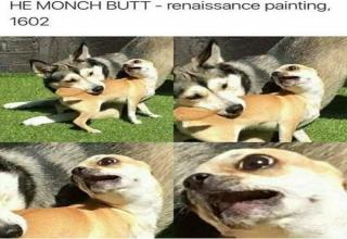 60 Awesome Pics That Will Help You Get Over The Hump! - Funny Gallery ...