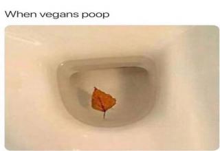Funny Poop Memes Just for Sh*ts and Giggles - Funny Gallery | eBaum's World
