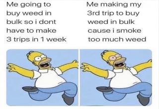 69 of the Best Weed Memes and Pics to Blaze with on 4/20 - Funny ...